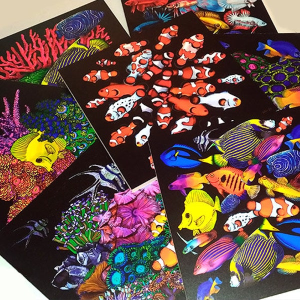 Coral Reef Fish - Etsy