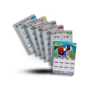Gouldian and Zebra Finch Mutation and Genetics Posters With 2 Calendars ...