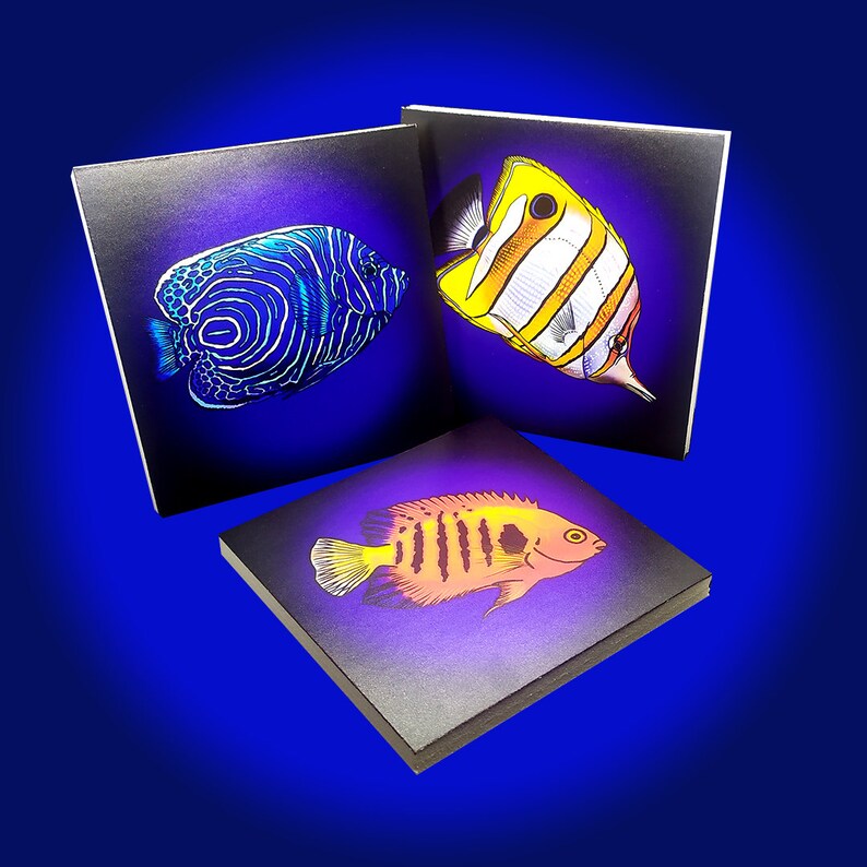 Reef Fish Art Prints, Marine Aquarium Decor (set of 12) - Etsy UK