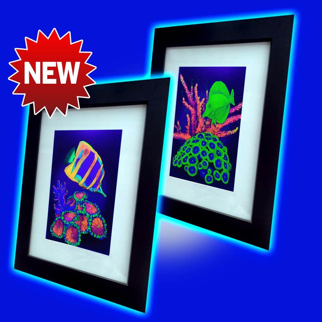 Fluorescent Reef Images With Frames With Marine Fish and Corals, Reef ...