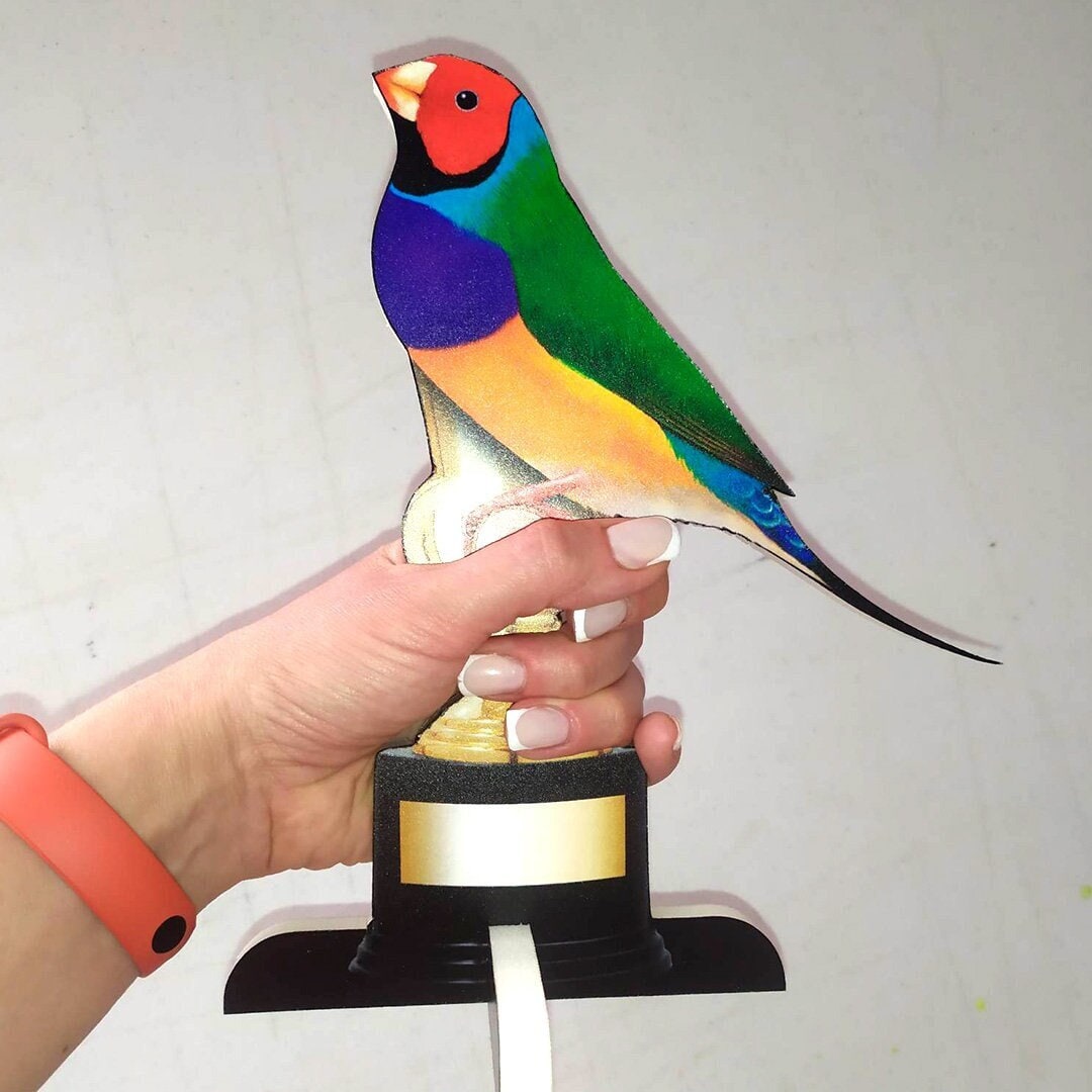 Winner Cup Gouldian Finch Decor - Digital Painting Illustration Prints ...