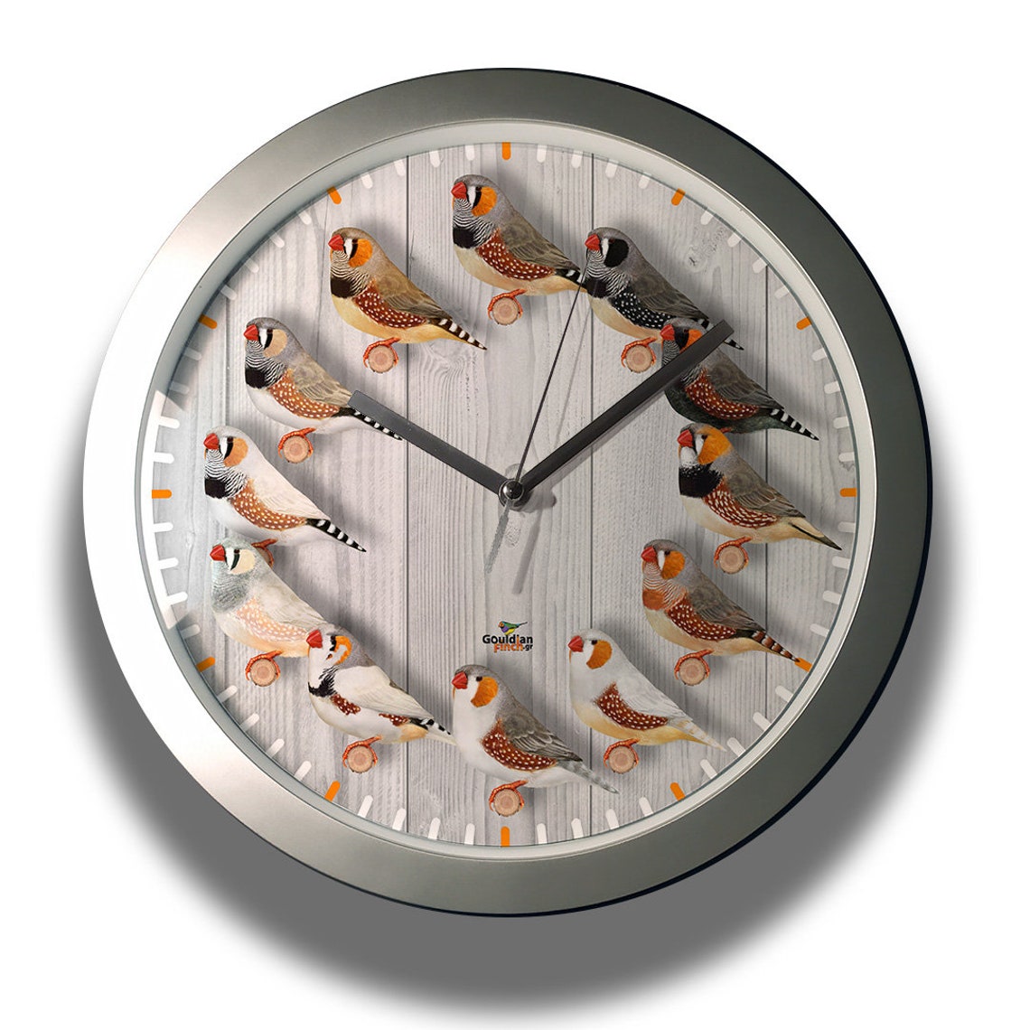 Zebra Finch Mutations Silver Wall Clock With Modern Design. - Etsy