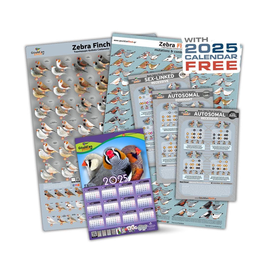 ALL Zebra Finch Mutation Posters / 3 NEW Genetics Posters / Zebra Finch ...
