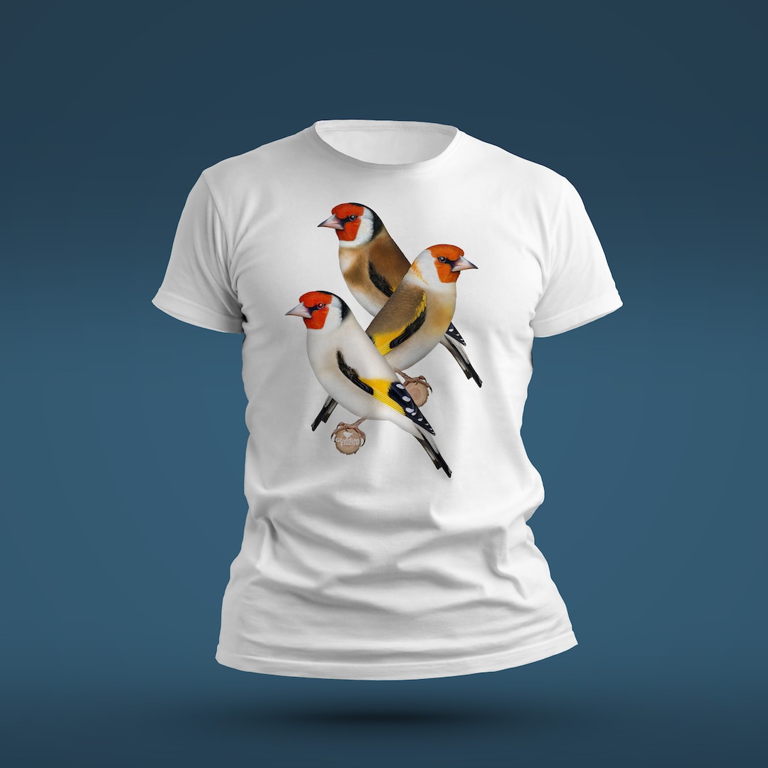 European Goldfinch and Other Native Finches - Etsy
