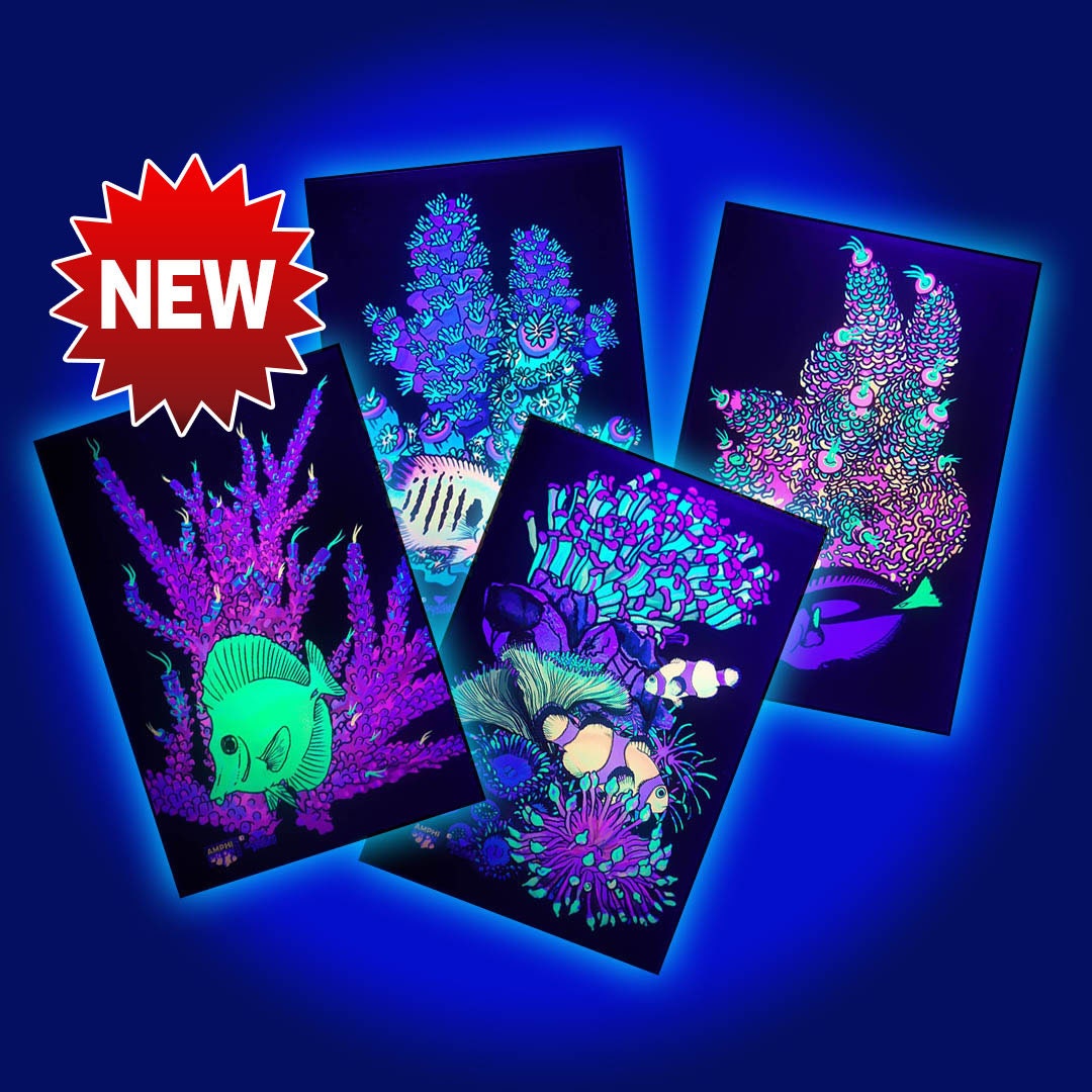 4 FLUO Printed on Plexiglass Reef Images That Glow in the Dark Under ...