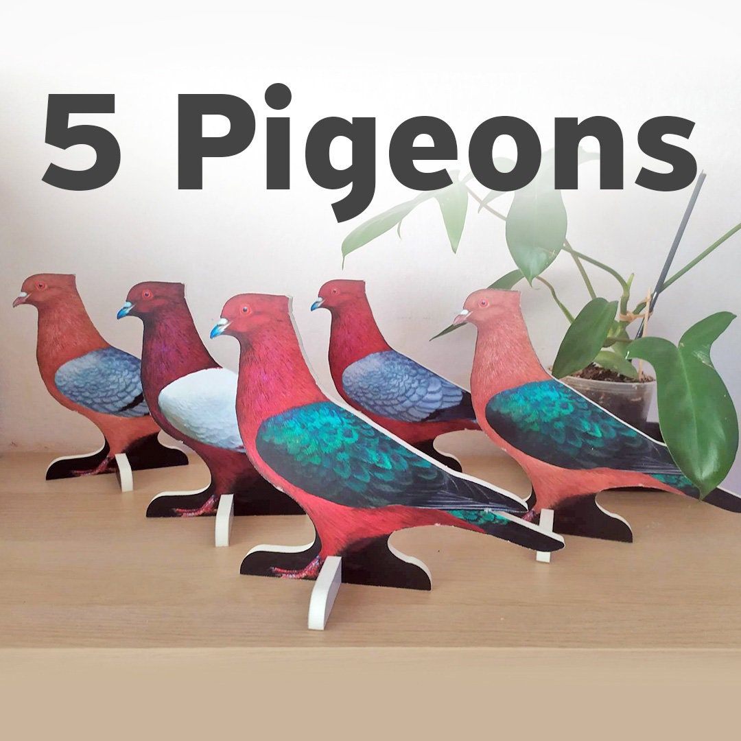 Gimpel Pigeon Print Set, Bird Lover Decor, Loft Art on Foam Board - Etsy
