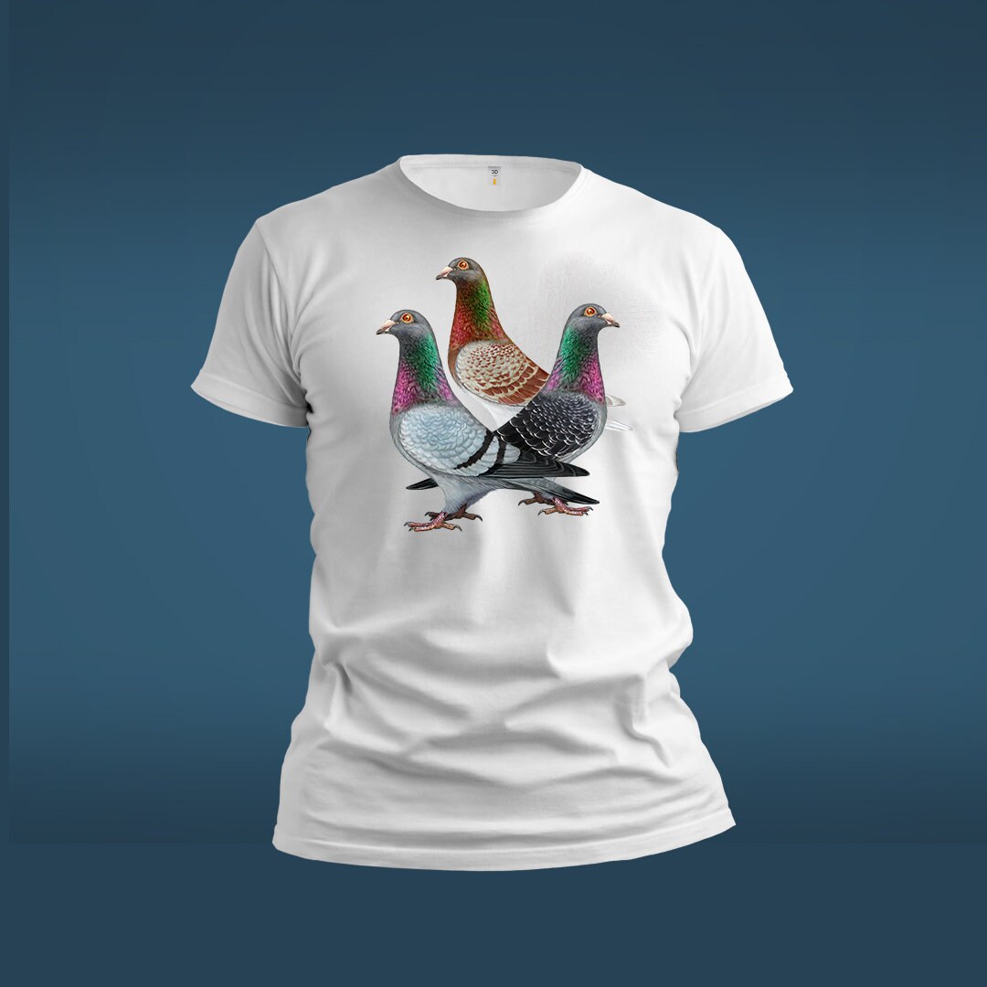 Racing Pigeon, Post Homer Pigeon, Homming Pigeons Colors Mutations T ...