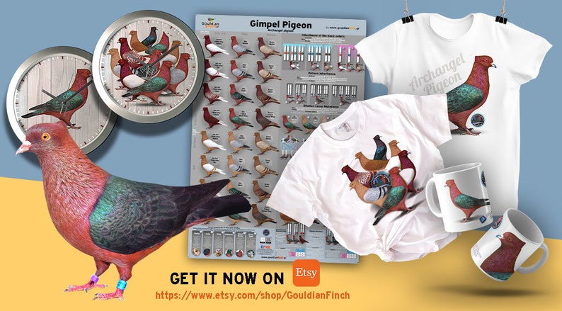 Pigeon Silver Wall Clock With Modern Design Racing Pigeon - Etsy