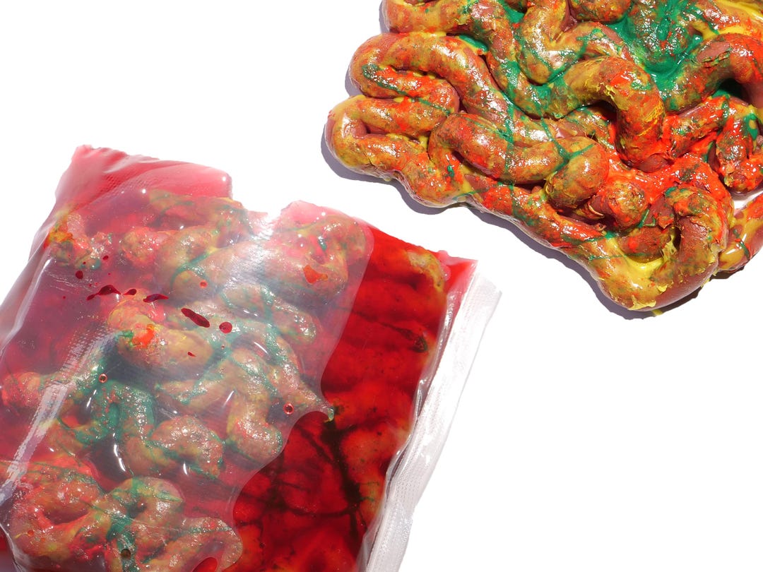 Silicone Intestines in a Bag – Realistic Gore Prop for SFX, Horror ...