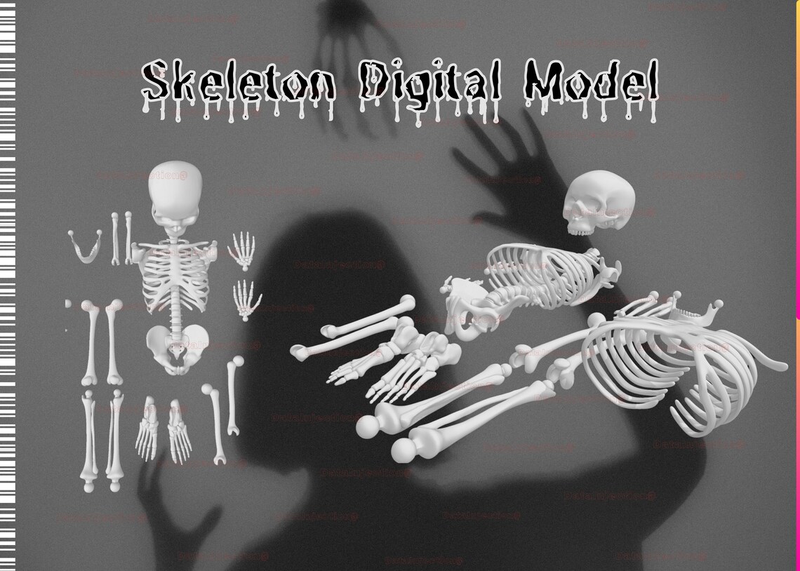 Skeleton Human Stl 3D Model Print Digital File - Etsy