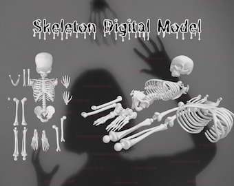 Skeleton Stl 3D Print File - Etsy