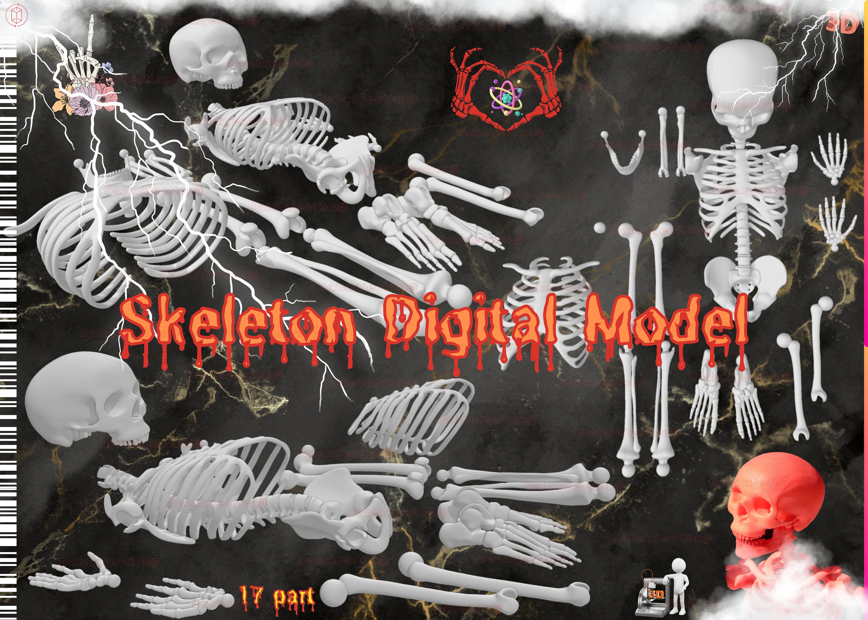 Skeleton Stl 3D Model Print Digital File - Etsy