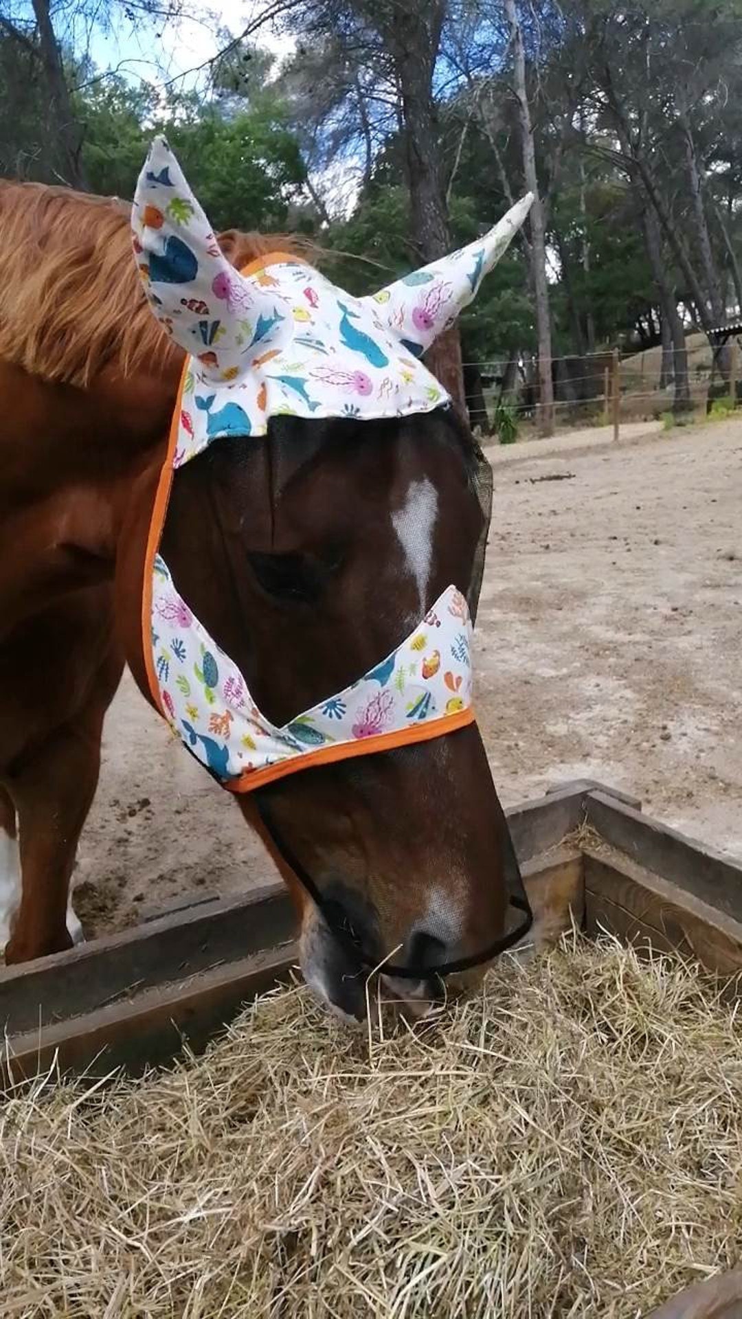 Printed Horse Anti-fly Hat Mask Several Sizes Possible Pony/shetland ...