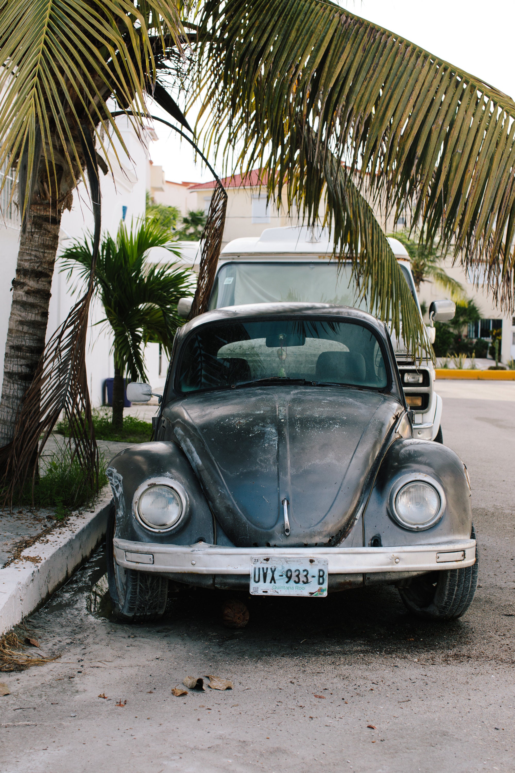 Volkswagen Beetle In Mexico