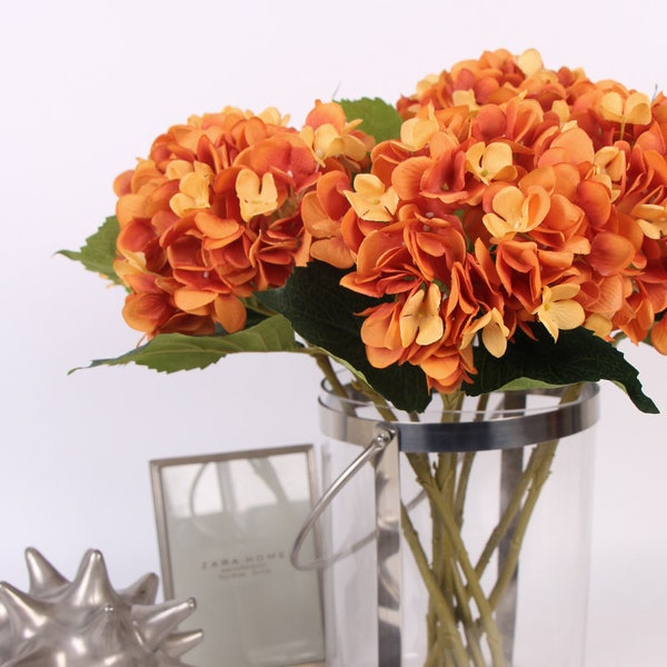 Orange Hydrangea - Etsy