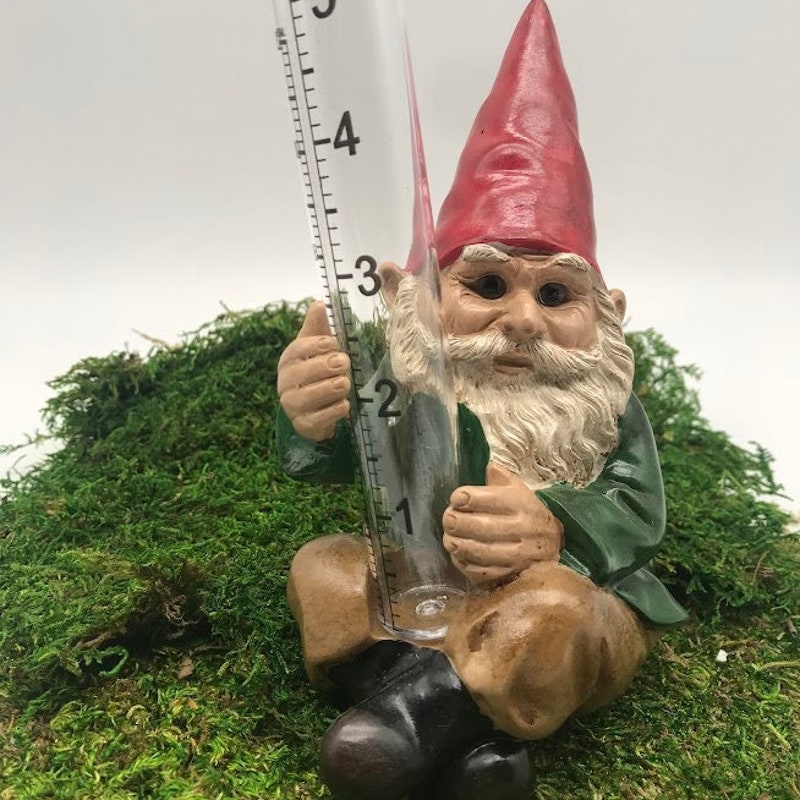Funny Garden Gnome - Etsy