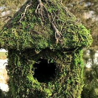 Red Cardinal Bird Birdhouse - Etsy