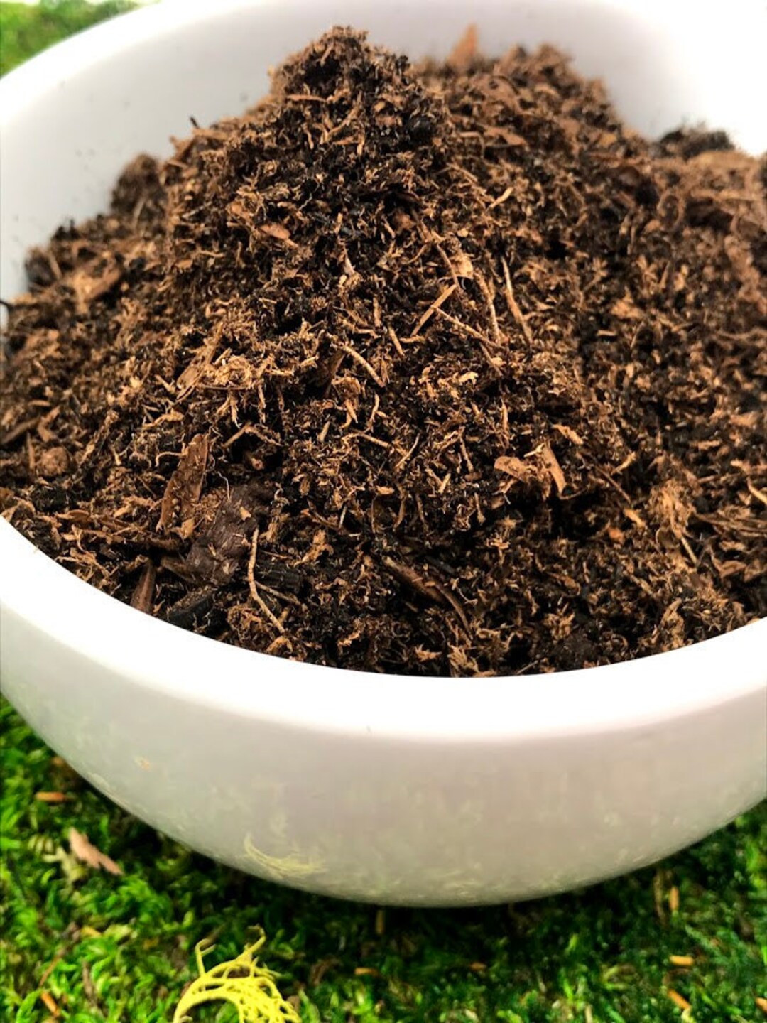 Organic Terrarium Soil Potting Mix Small 1 Quart for Succulents and ...