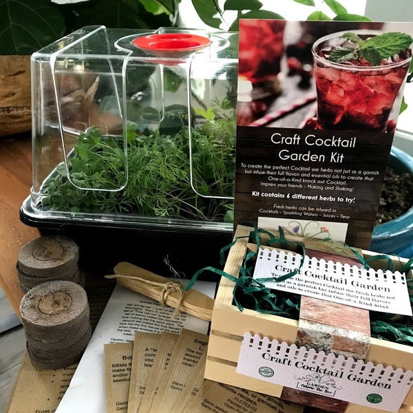 Herb Garden Kit - Etsy