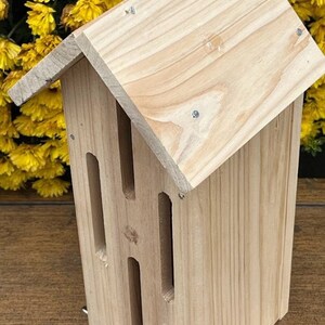 Kids DIY Butterfly House Kit: Build & Paint Wood Insect Habitat - Etsy