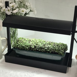 Microgreens Grow System - Grow Light Compact Table Top and Self ...