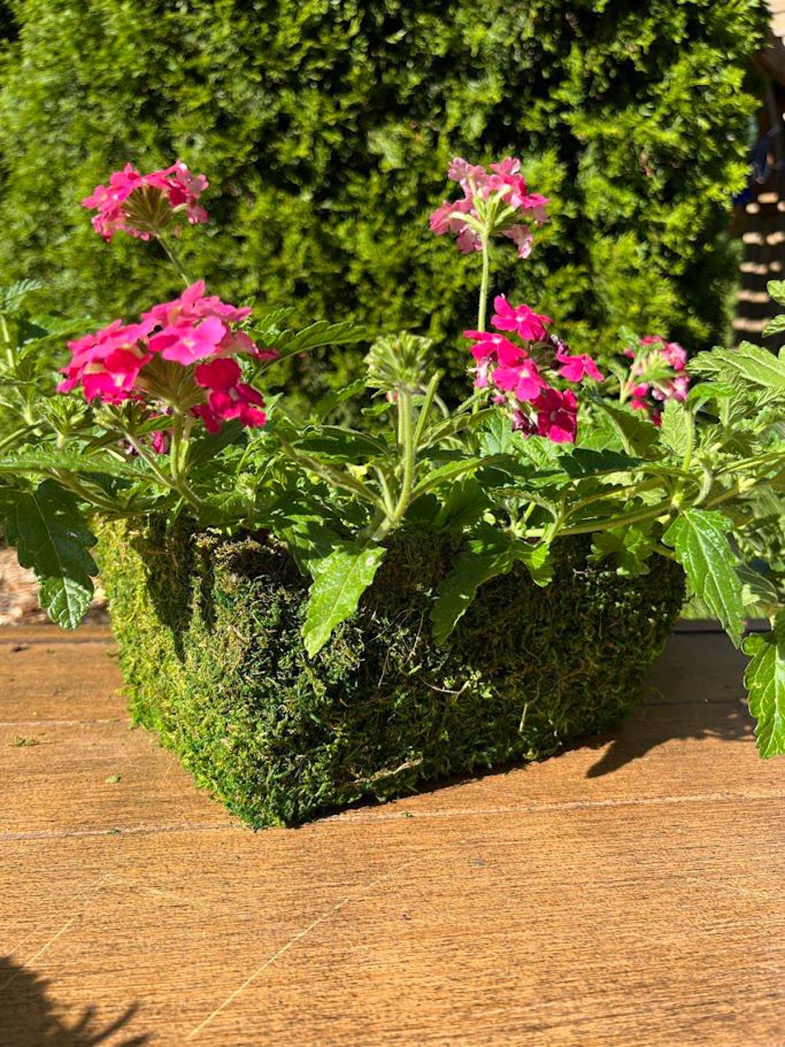 Natural Rustic Moss Basket Planter Rectangular Wicker Centerpiece Pot ...