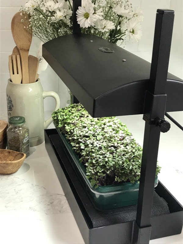 LED Grow Light Compact Table Top and Self Watering Garden - Etsy