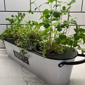 HERBS Windowsill Planter - Rustic Farmhouse Planter for Plants Herbs ...