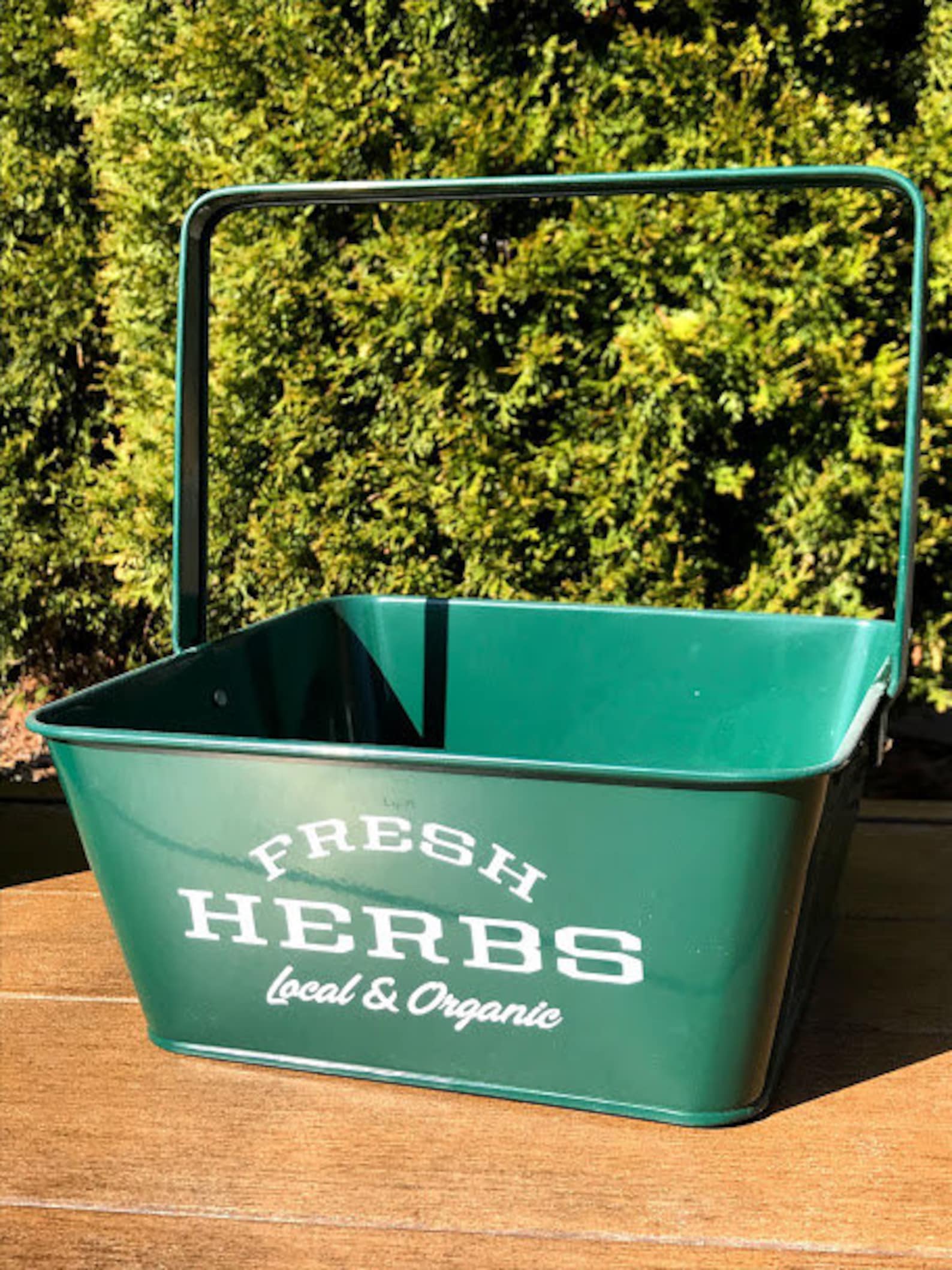 HERBS Local & Organic Growing Basket Rustic Farmhouse Small - Etsy