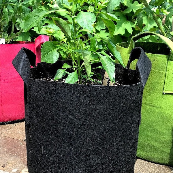 Flower Pot Felt - Etsy