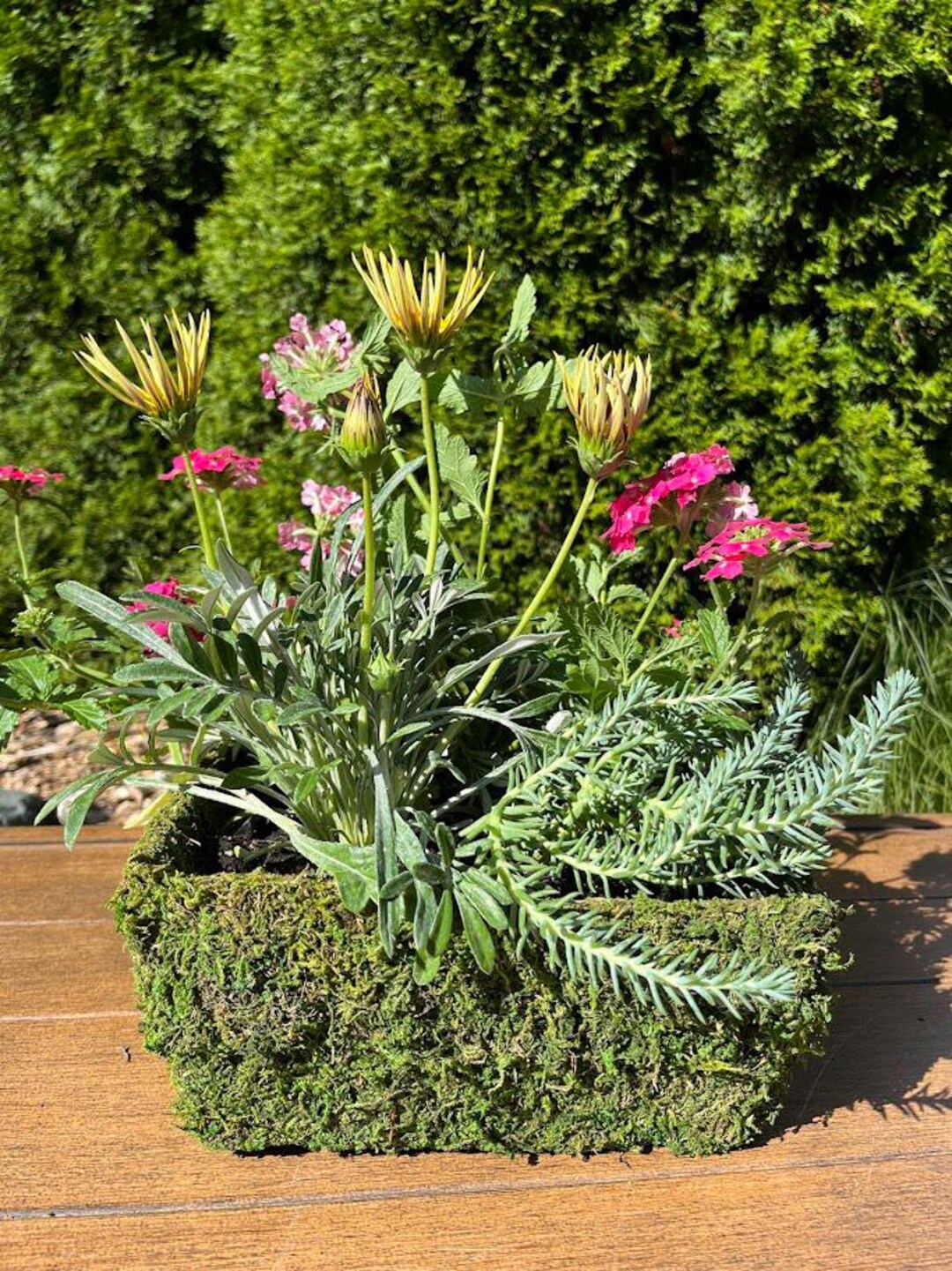 Natural Moss Basket Planter Square Low Profile Centerpiece Planter - Etsy