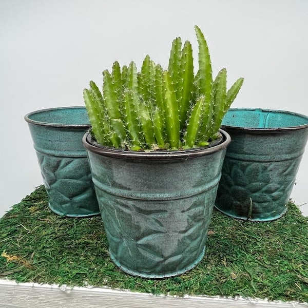 Blue Flower Pot - Etsy