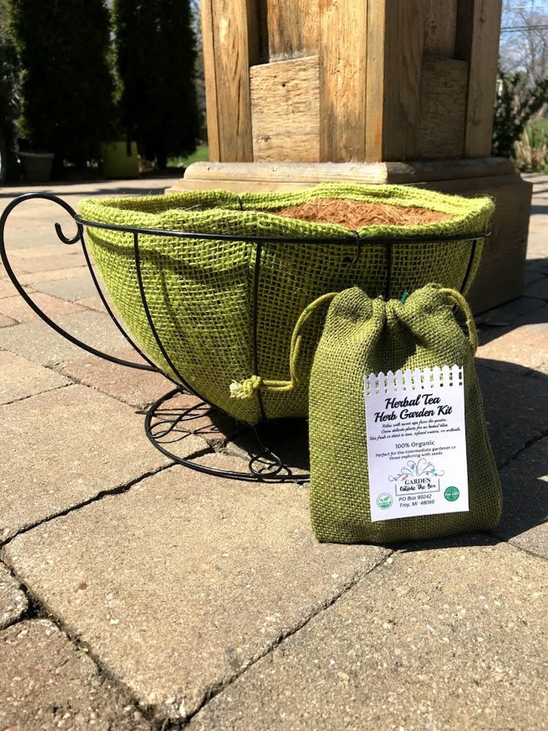 Tea Cup Planter w/ Herbal Tea Herb Organic SEED Collection | Etsy