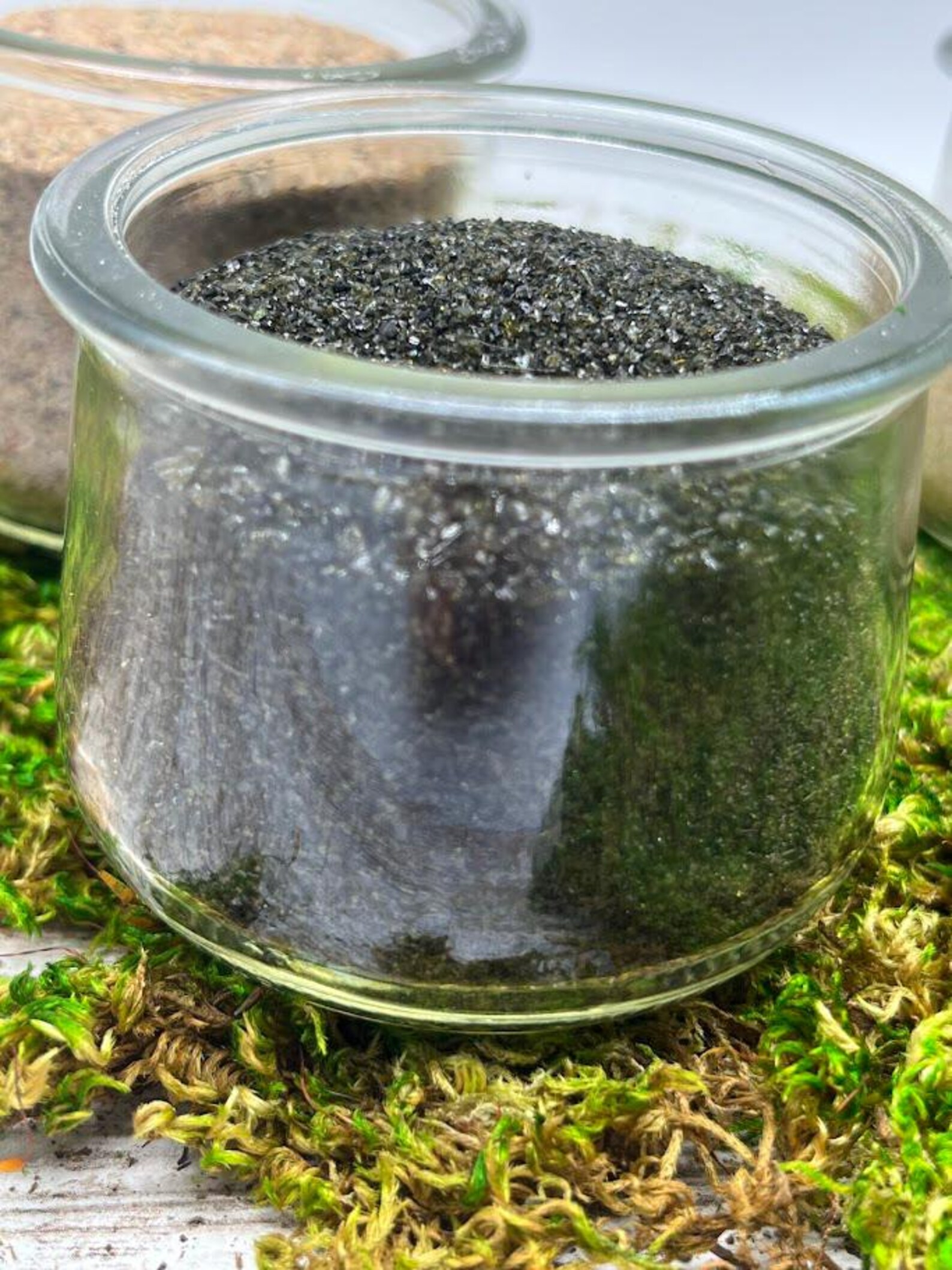 Terrarium and Multi Purpose Planting Sand for Succulents and Indoor ...
