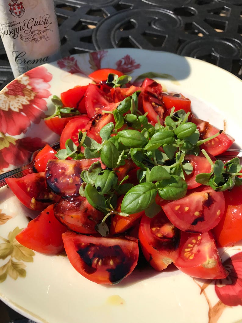 Love That Basil Craft Cocktails Grow Kit 100% Organic | Etsy