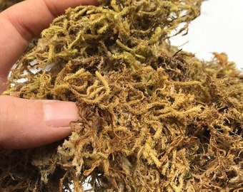 Dried sphagnum moss store