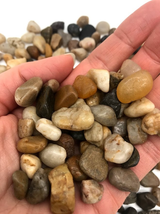 5 Lb Natural Polished River Stones Rocks Pebbles Fun for - Etsy