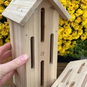 Kids DIY Butterfly House Kit: Build & Paint Wood Insect Habitat - Etsy