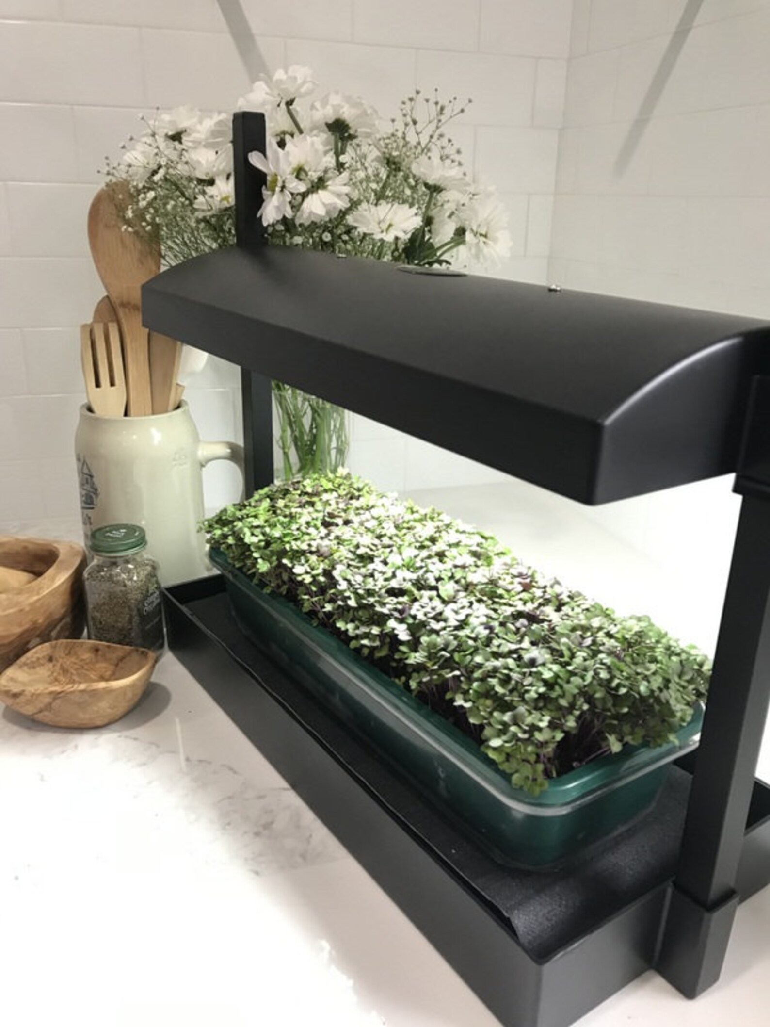 Microgreens Grow System Grow Light Compact Table Top and - Etsy