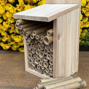 Kids Pollinator House Kit - Children's DIY Build Your Own Wood Habitat ...