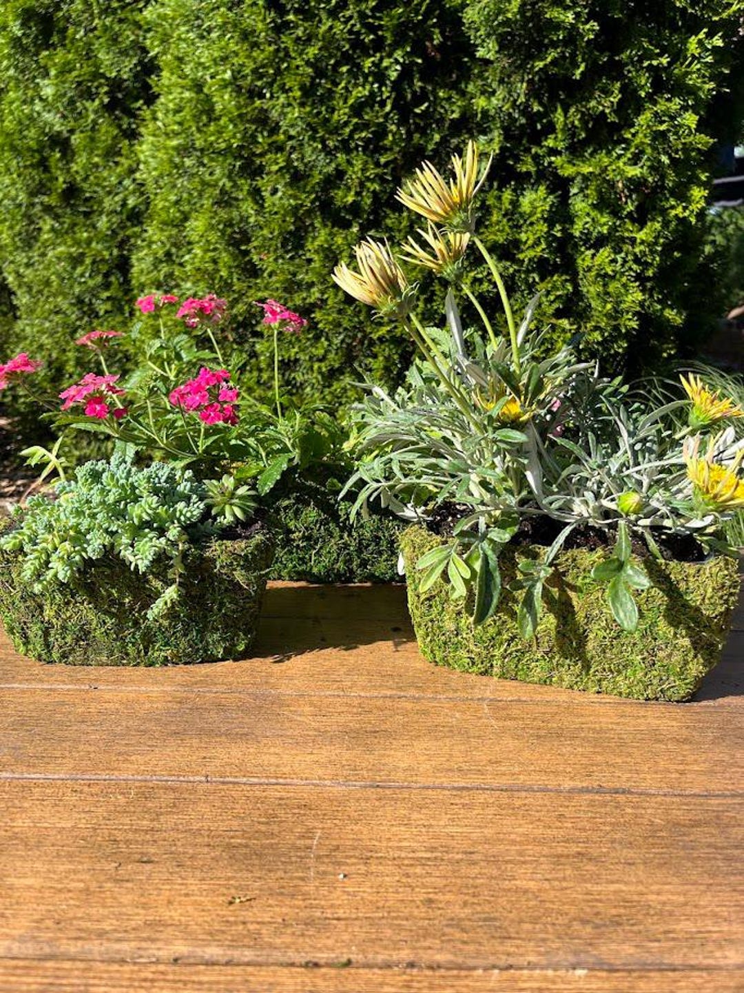 Natural Rustic Moss Basket Planter Rectangular Wicker Centerpiece Pot ...