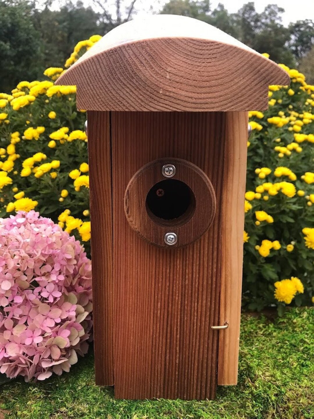 Cedar "the Frankie" Birdhouse Natural Wood Bird Box - Bird House Nature ...