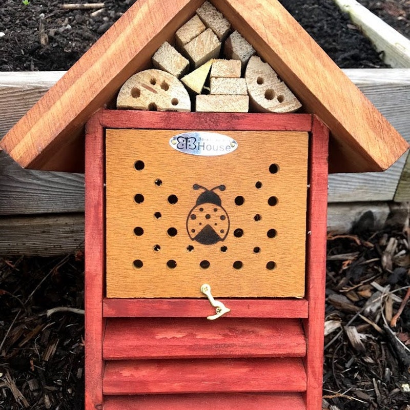 Ladybug House - Etsy