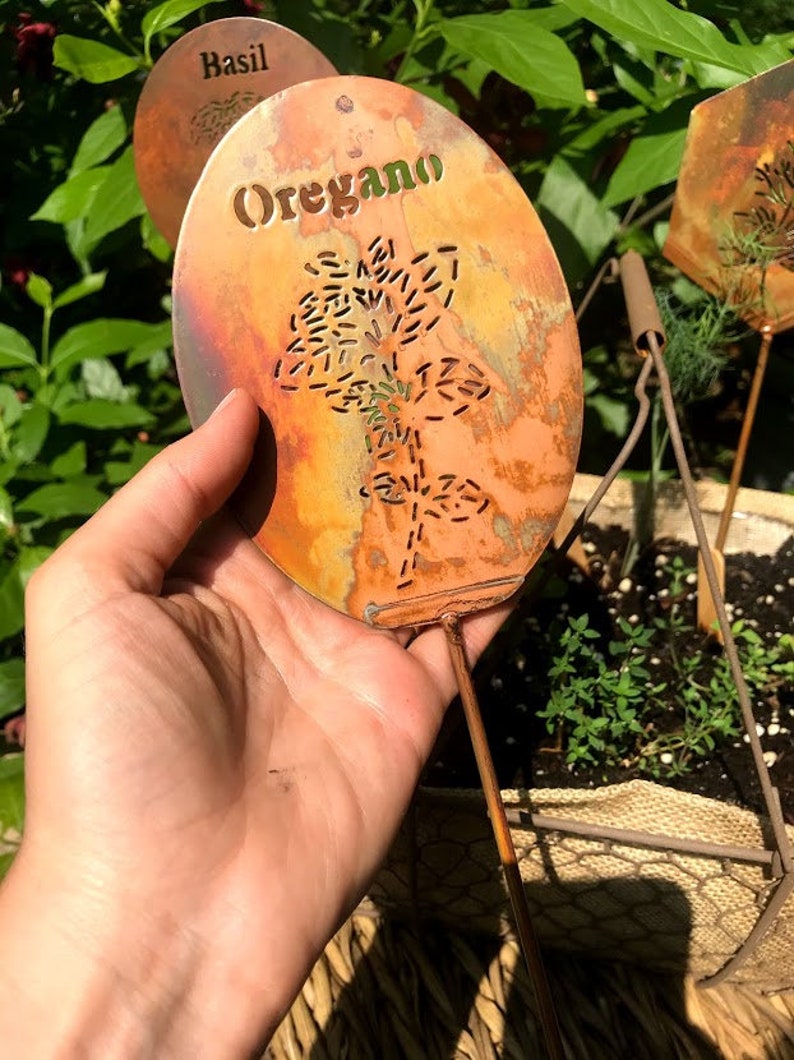 Metal Herb Signs Basil Oregano Dill Parsley Garden - Etsy