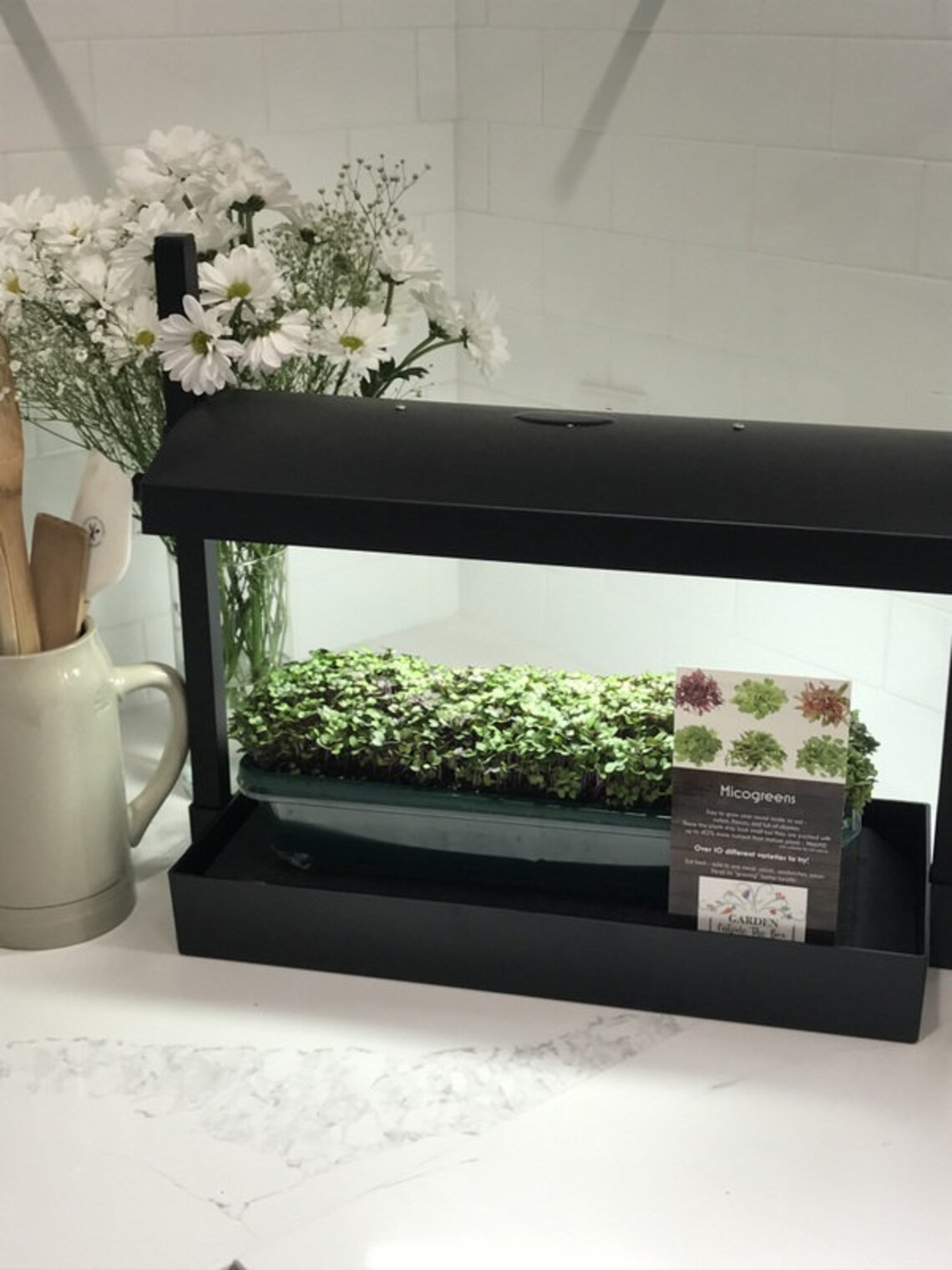 Microgreens Grow System Grow Light Compact Table Top and - Etsy