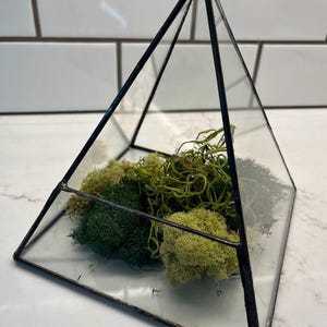 Air Plant Glass Pyramid Hanging Planter Pot Tillandsia Succulents ...