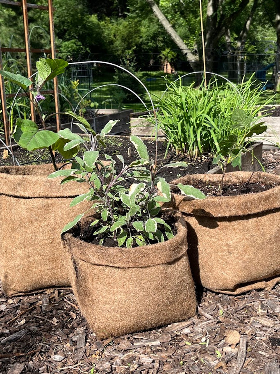 Hemp Material Pot Planter: Eco-friendly Grow Bag - Etsy
