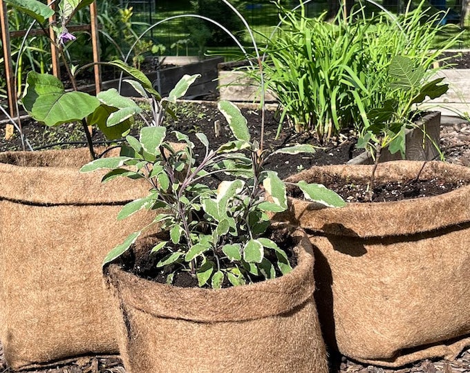 Hemp Material Pot Planter - Eco Friendly Compostable - Plastic Free ...