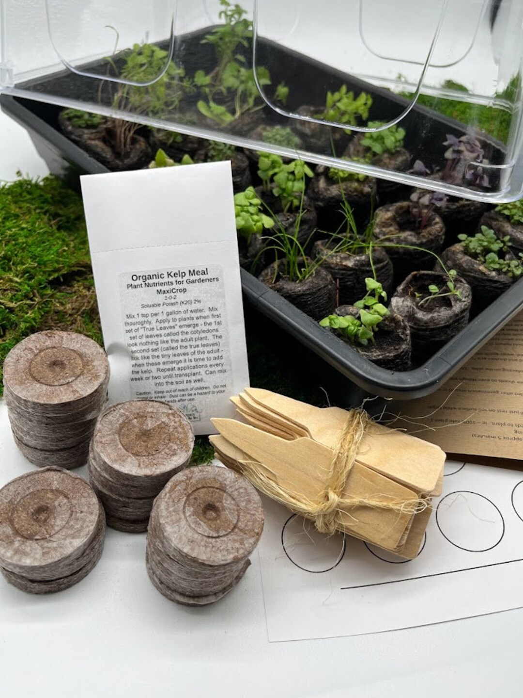 Large Seed Starting Garden Planting Kit - Mini Greenhouse - Grow Indoor ...
