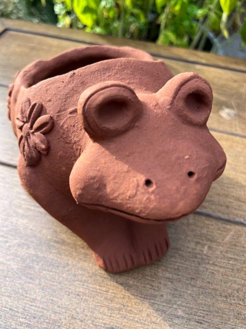 Frog Terracotta Pottery Planter for Small Plants or Succulents - Garden ...